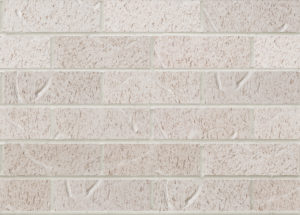 AUSTRAL BRICKS COASTAL SURF WASH (SOLD IN FULL PACKS OF 520 ONLY)